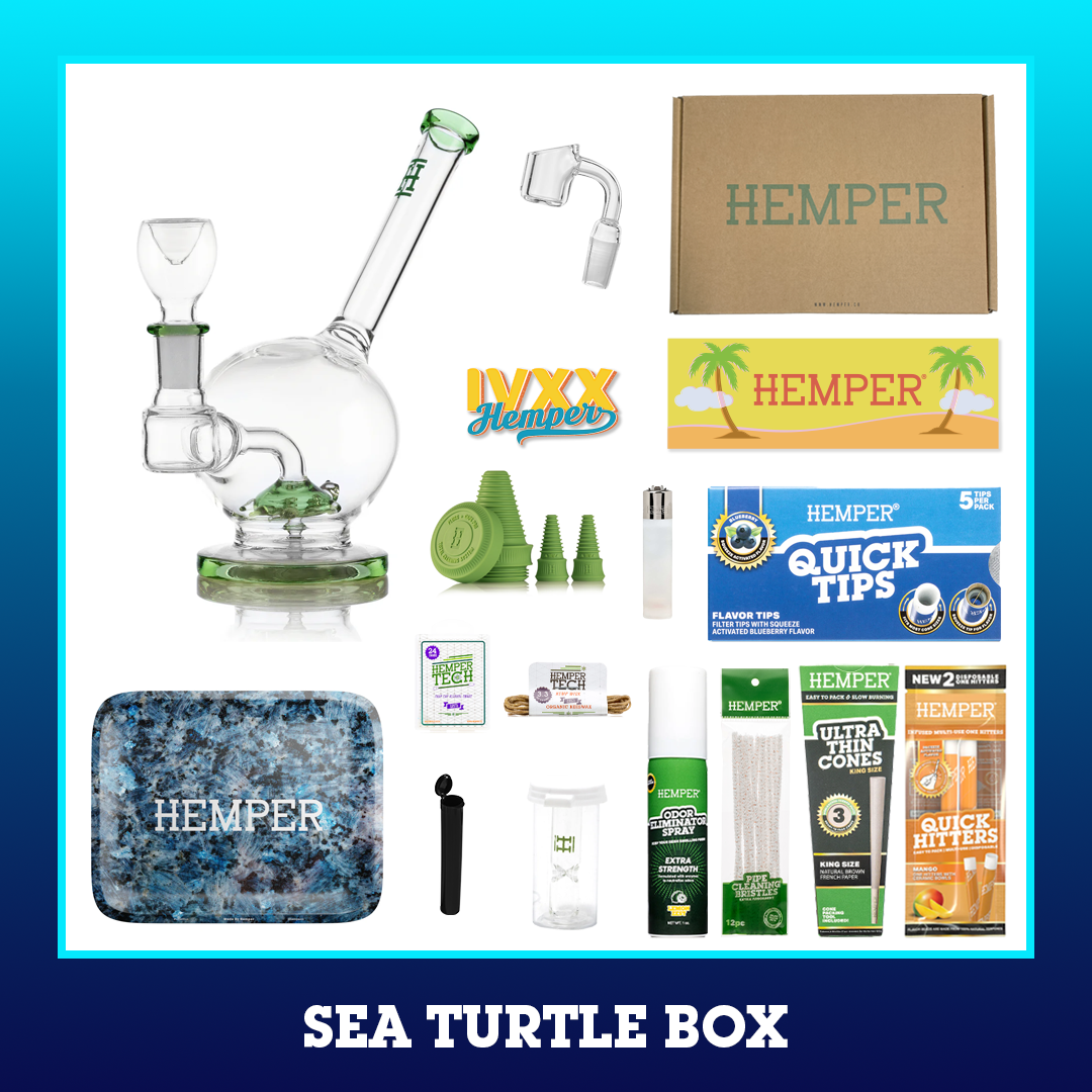 Sea Turtle Bong Box – HEMPER