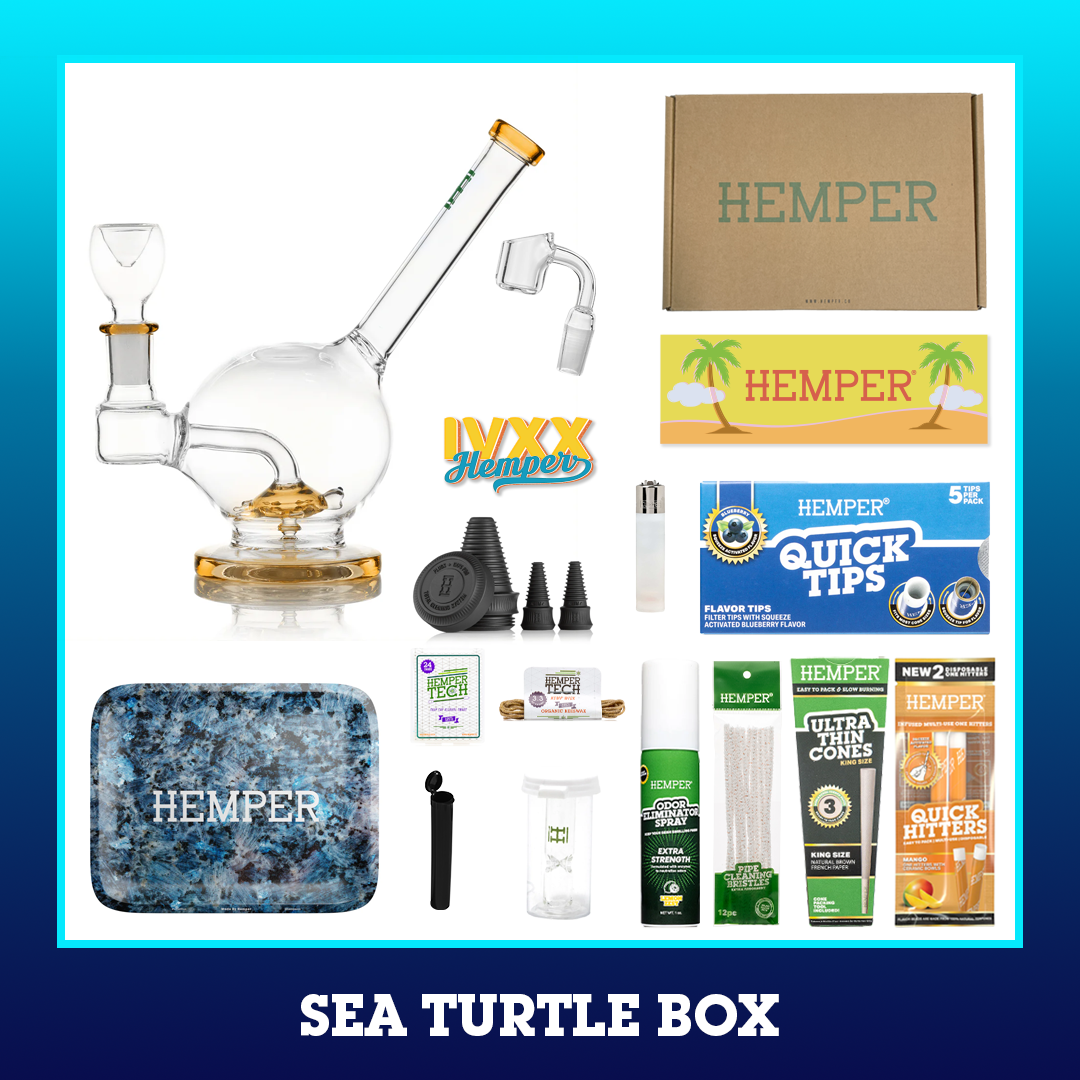 Sea Turtle Bong Box – HEMPER