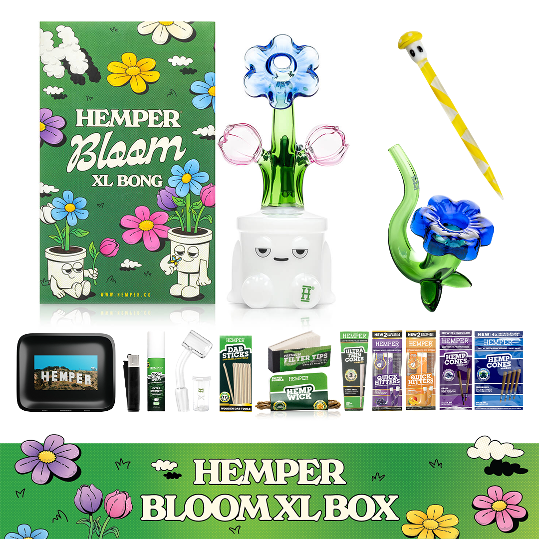 Bloom XL Bong Box – HEMPER