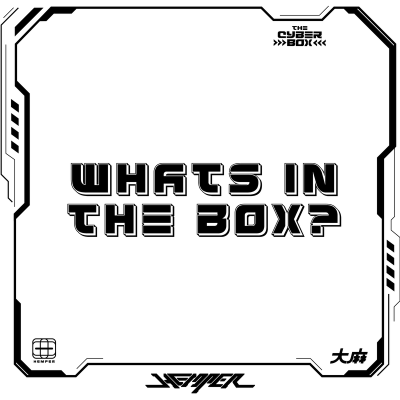 HEMPER - Cyberpunk Bong Box